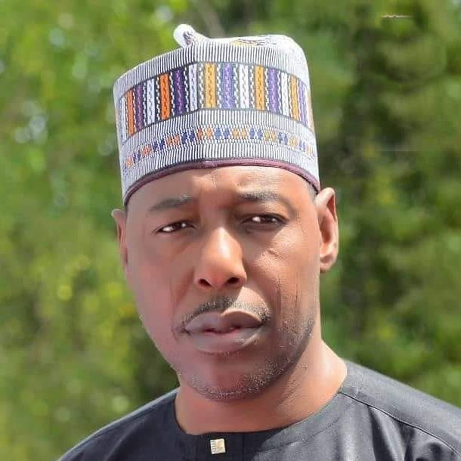 North-East Governors Seek Mambilla Project Completion • The Electricity Hub
