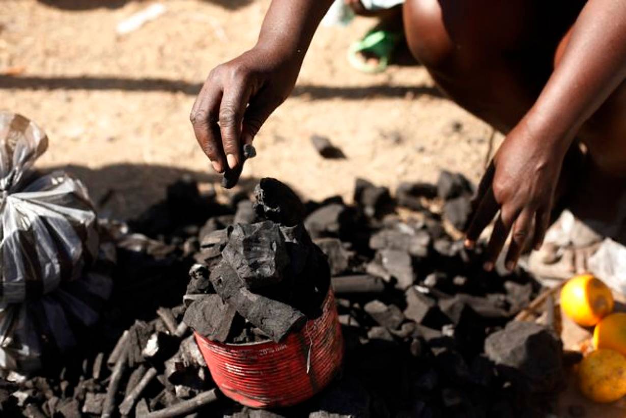 Tanzania to Implement Strategy to Decrease Wood Fuel Use • The ...