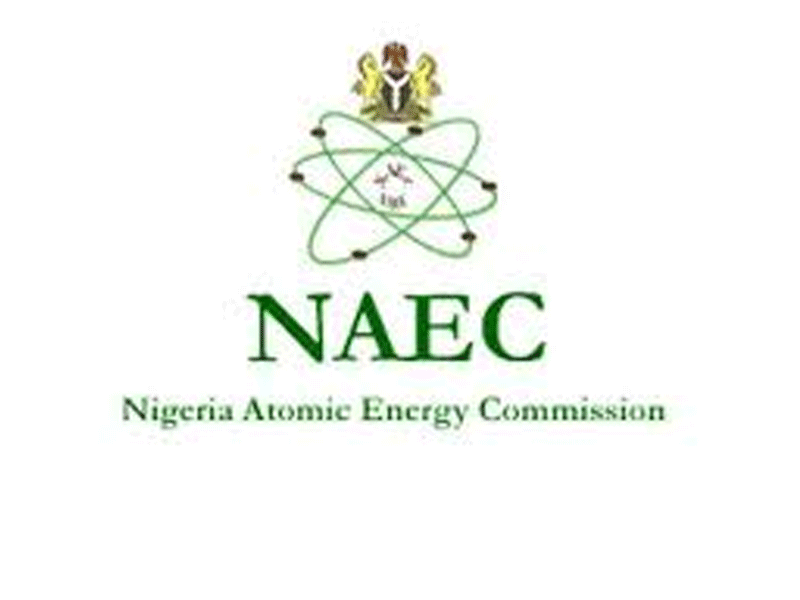 NIGERIA: NAEC in Talks with Russian Federation on Nuclear Power ...