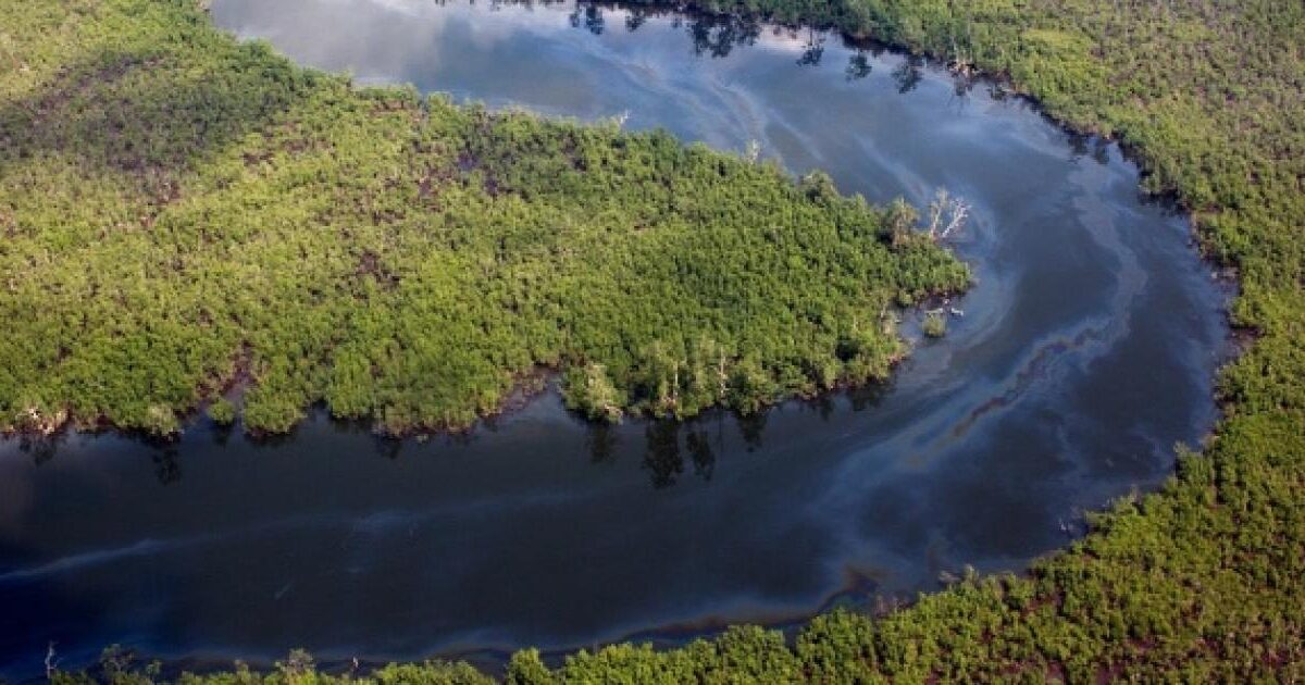 NIGERIA: Ogoniland Pledges Cooperation With NPDC on Oil Exploration ...