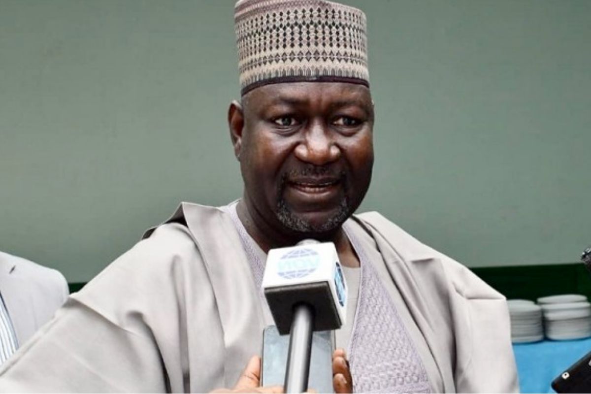 NIGERIA: Minister of Power Explains Delays on the Mambilla Hydropower ...