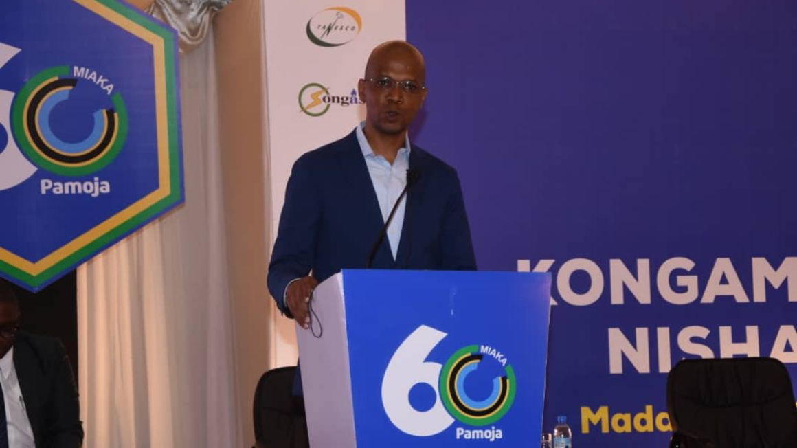 TANZANIA: Energy Minister Highlights Areas of Focus for Sector Reforms ...