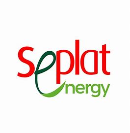 Seplat Energy CEO, Charged with Breach of Immigration Law • The ...