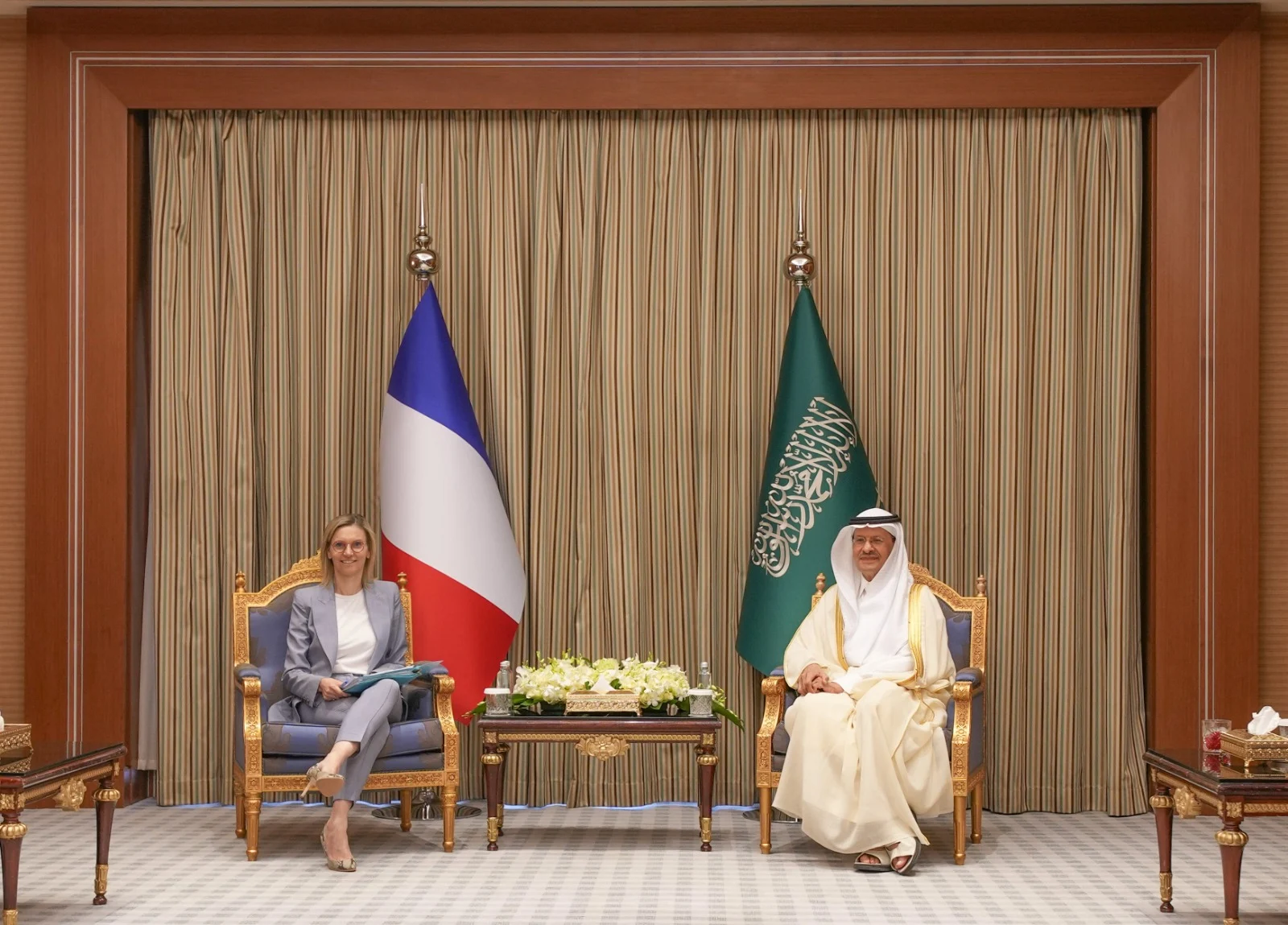 Saudi Arabia and France Form Alliance; H2 and Electricity in Focus ...