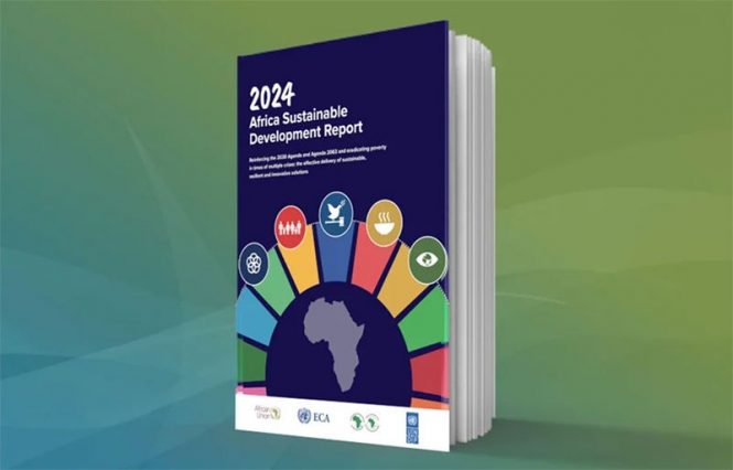 UNDP, AfDB Launch Africa Sustainable Development Report 2024 • The ...