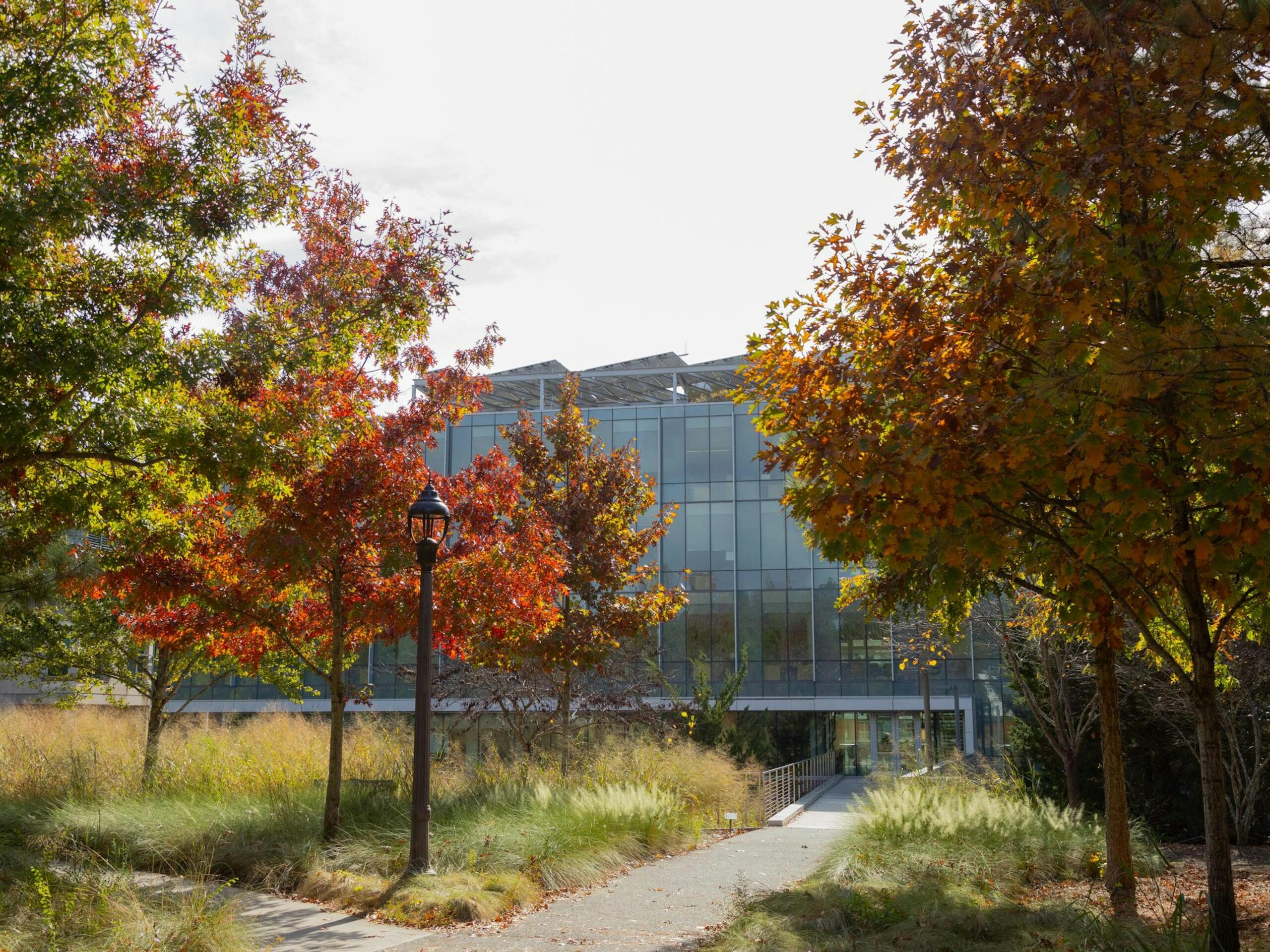 Duke Sets Course for Net Zero by 2050, University Climate Plan