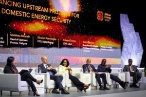 Seplat Reaffirms Growth Strategy with Asset Integrity and Reliability