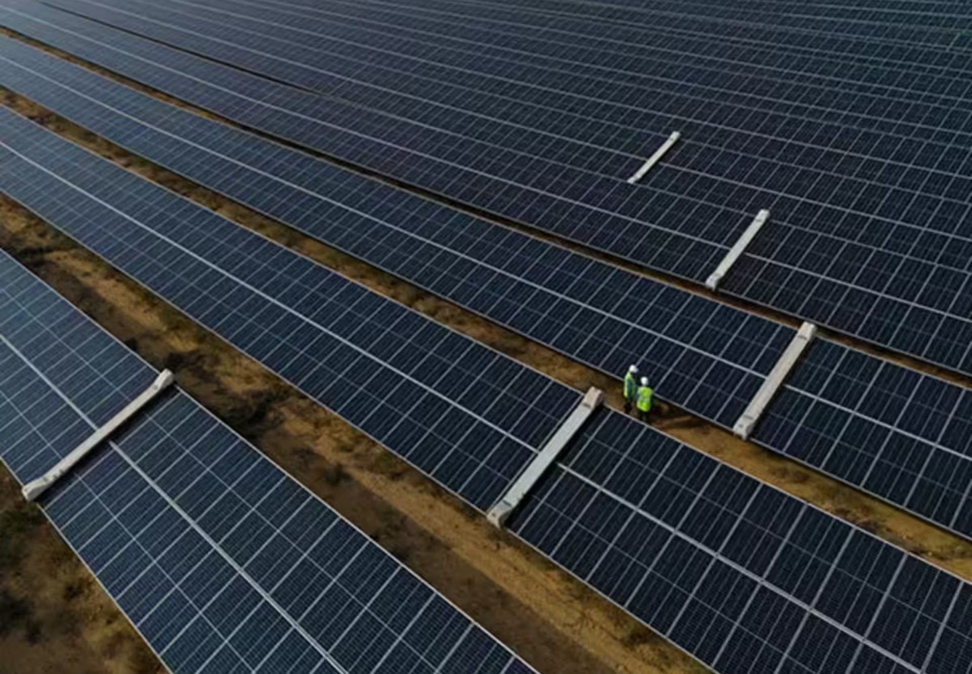 ACME Solar Wins 130 MW at Renewable Power Auction in India