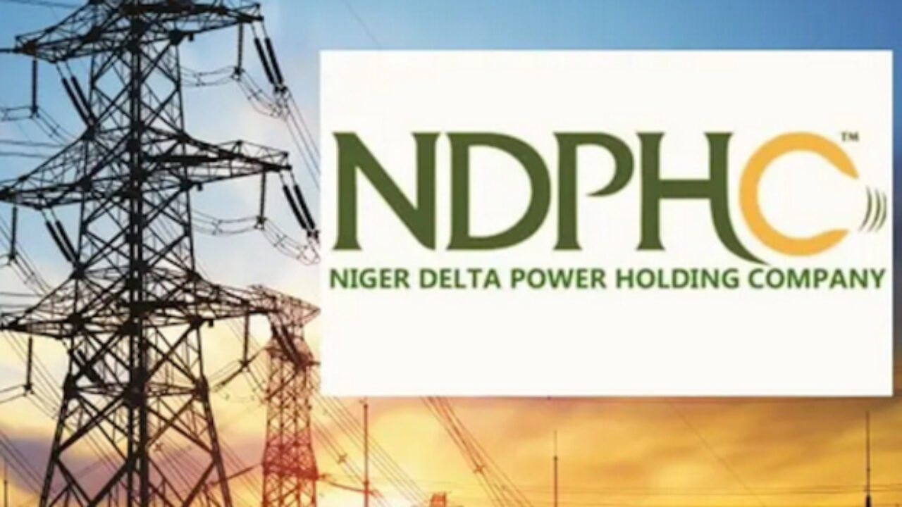 NDPHC Completes Risk Survey at Omotosho, Sapele Plants